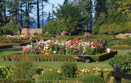 About Shore Acres State Park | Shore Acres State Park