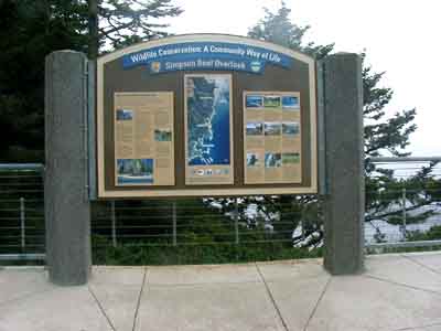 Simpson Reef and Shell Island | Shore Acres State Park