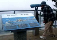 Simpson Reef and Shell Island | Shore Acres State Park