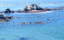 Simpson Reef and Shell Island | Shore Acres State Park