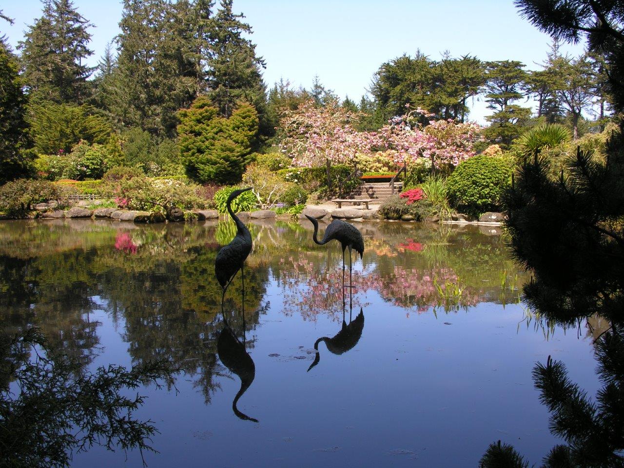 About Friends of Shore Acres, Inc. | Shore Acres State Park