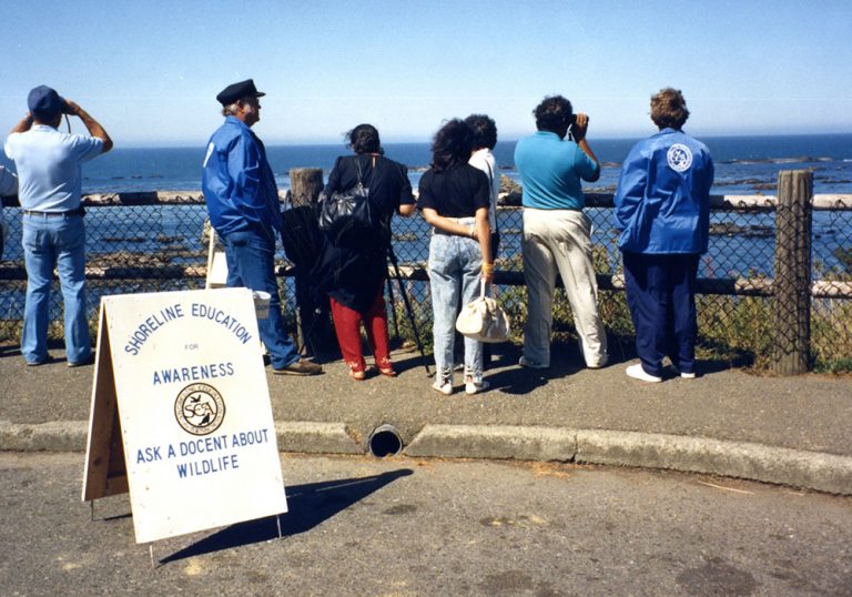 Simpson Reef and Shell Island | Shore Acres State Park