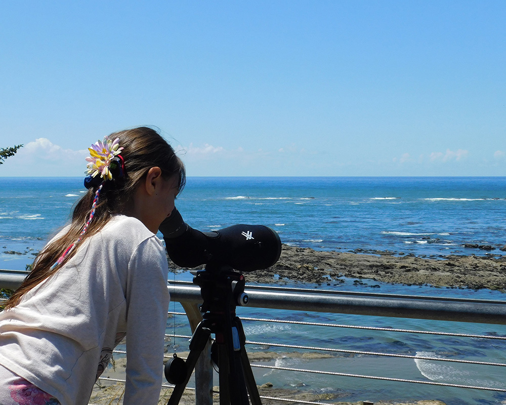 Simpson Reef and Shell Island | Shore Acres State Park