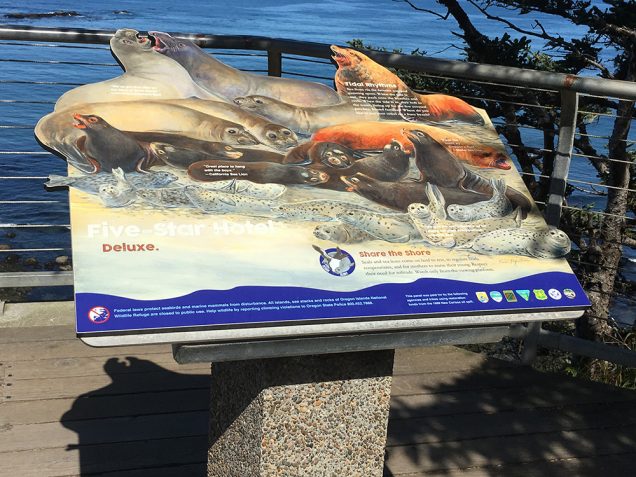 Simpson Reef and Shell Island | Shore Acres State Park