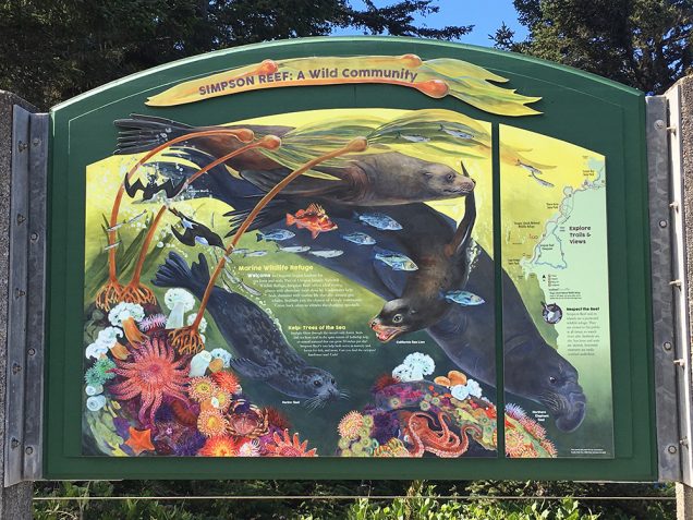 Simpson Reef and Shell Island | Shore Acres State Park