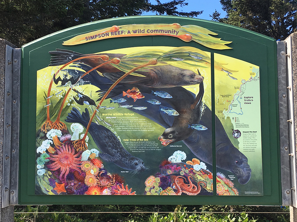 Simpson Reef and Shell Island | Shore Acres State Park